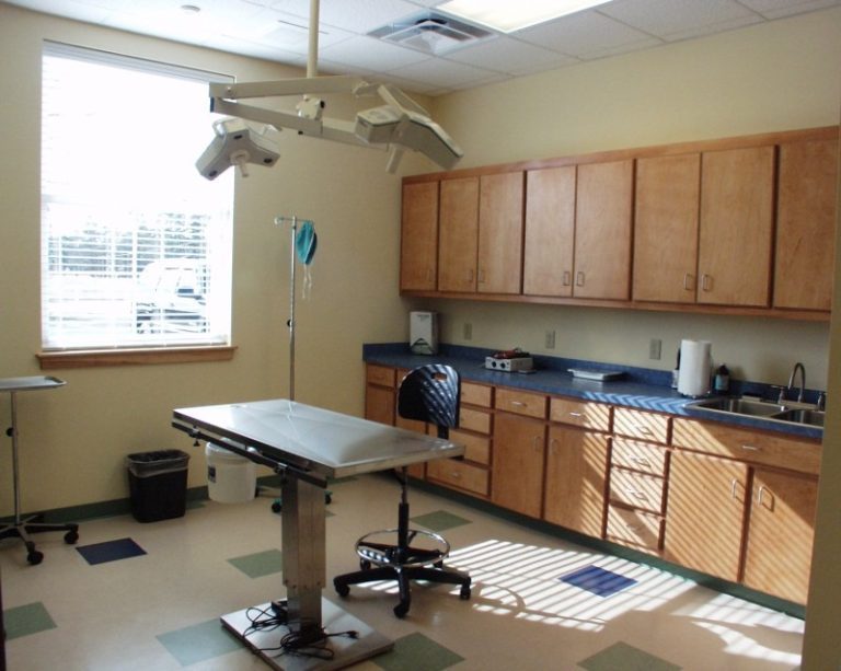 Spring Creek Animal Hospital – Bobbitt